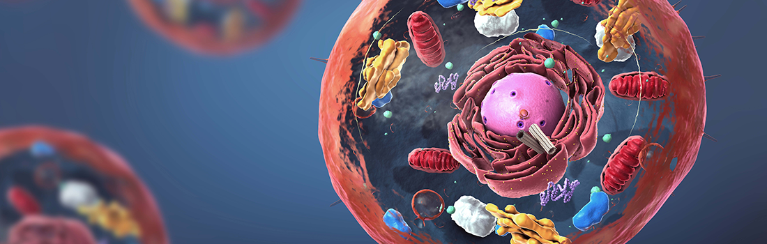 Cellular Toxicology – Postgraduate Education in Toxicology