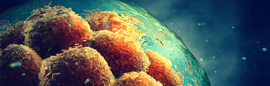 Developmental and Reproductive Toxicology – Postgraduate Education in ...