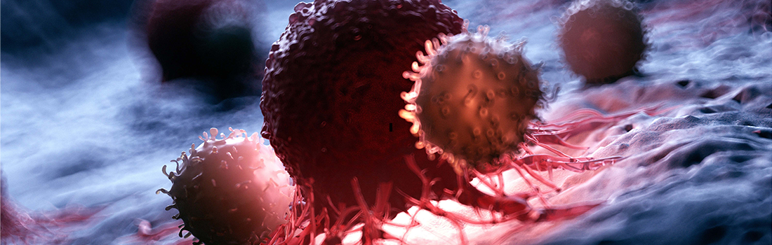 Immunotoxicology – Postgraduate Education in Toxicology