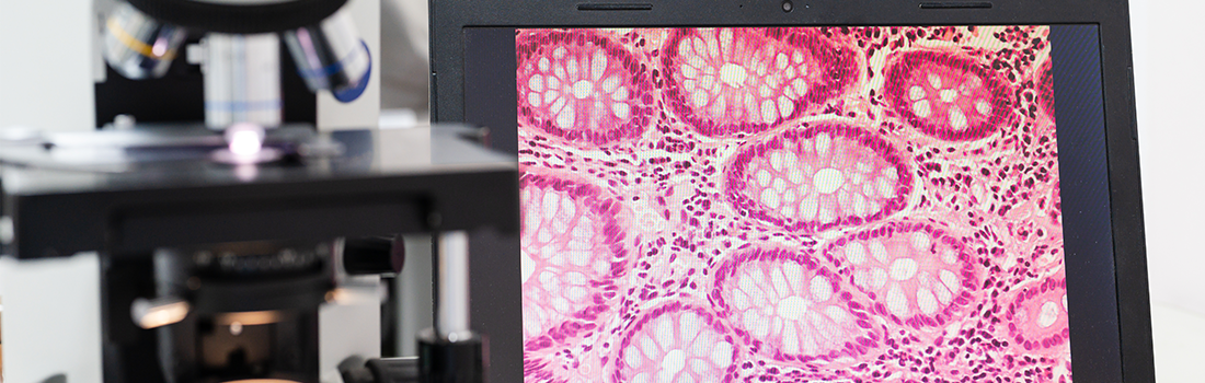 Pathobiology & Toxicological Pathology – Postgraduate Education in ...